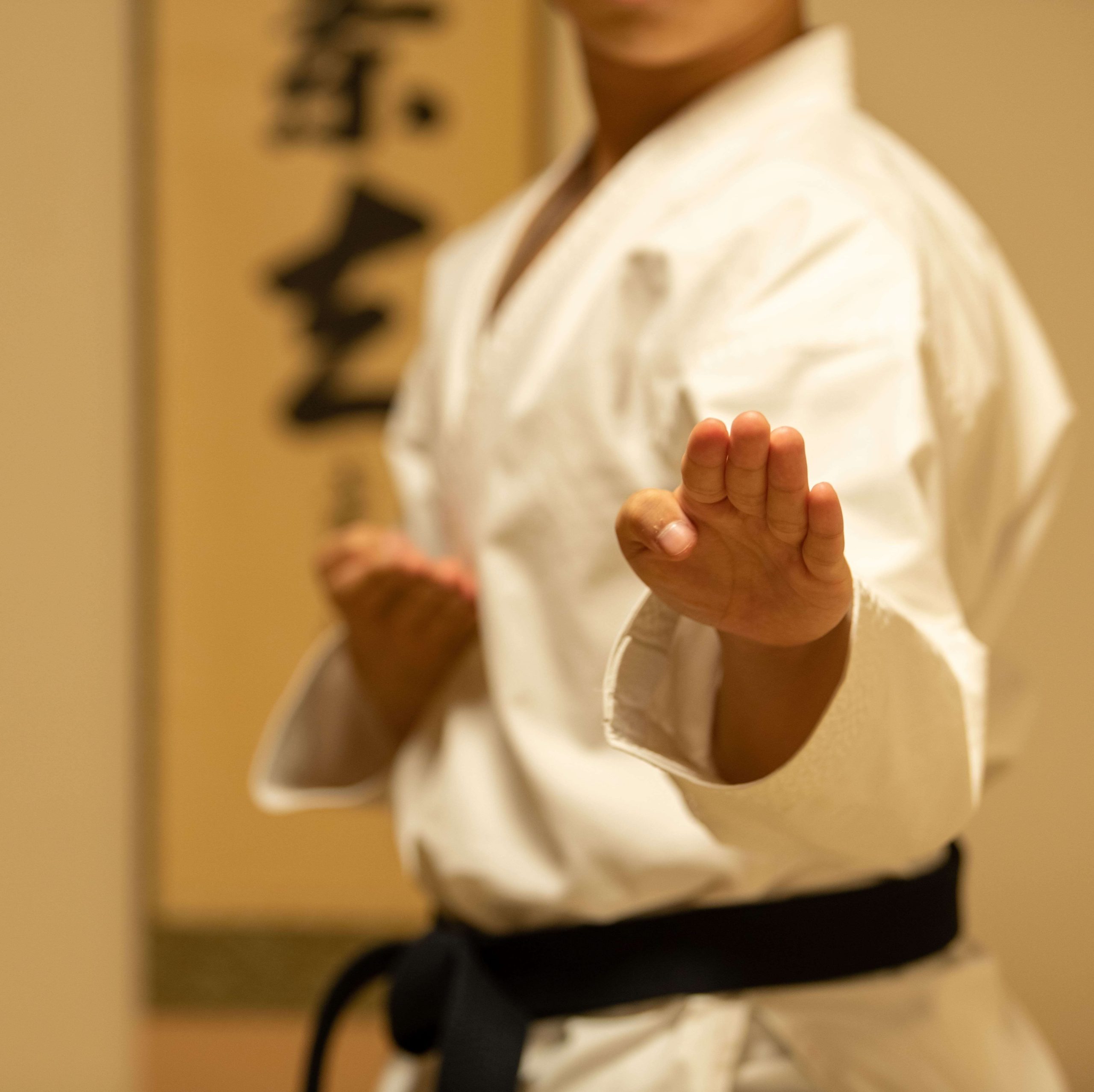 Japan Karate - Traditional Sports & Games Pakistan Association